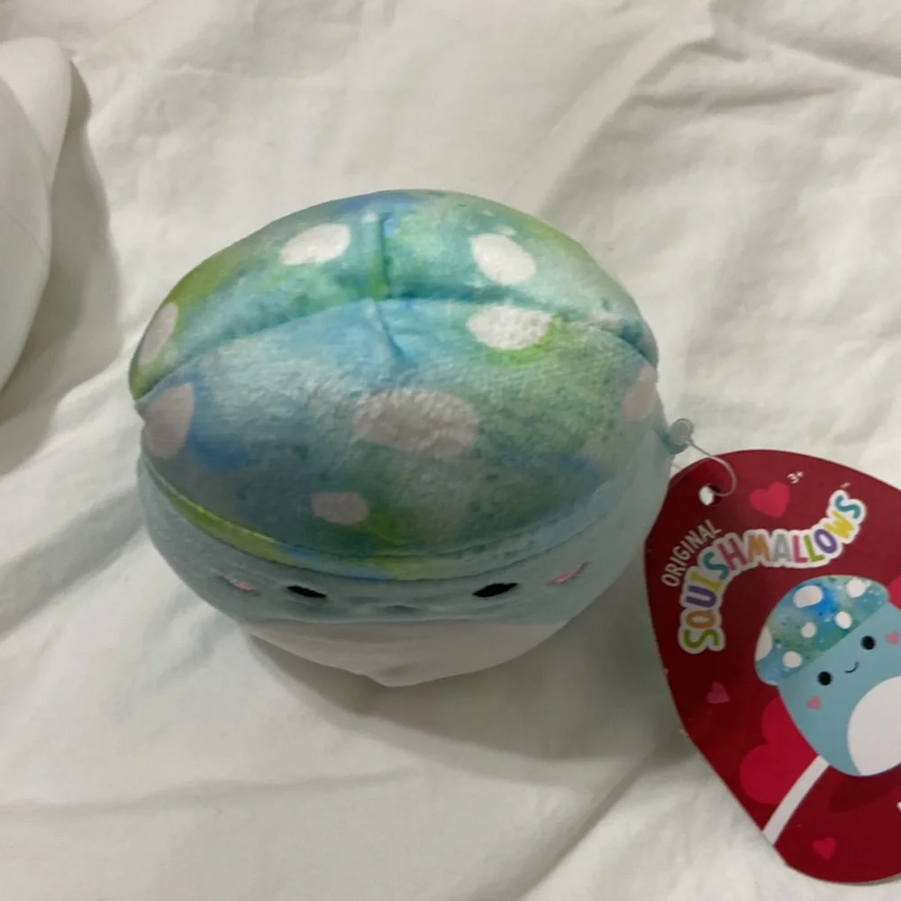 Squishmallows | Toys | Nwt Squishmallows Mystery Capsule Opened ...